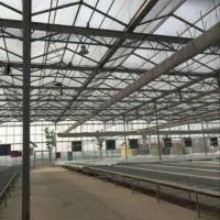China Industrial Insulated Steel Frame Buildings Construction With Metallic Materials Frame for sale
