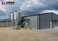 China Prefab Steel Structure Chicken House Poultry Farm Shed Building Weather Resistant for sale