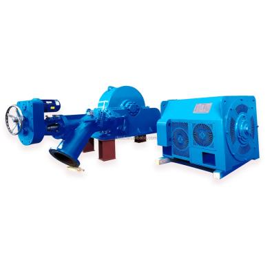 China High Performing Turgo Turbine Generator for 1 Year with Low Noise Level for sale