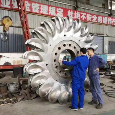 China Voltage Brushless Pelton Turbine Generator 1000A Rated Current IP54 Protection Grade for sale