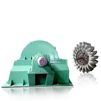 China IP54 Rated Brushless Pelton Turbine Generator F Insulation Class 6-10kV Rated Voltage for sale