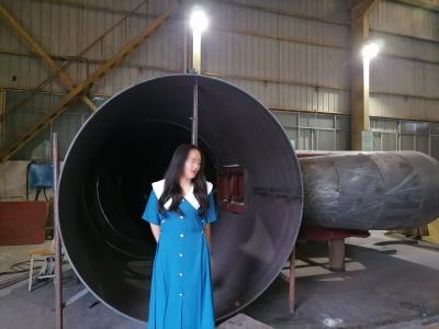 China Customized Power Generation Water Turbine Generator With Adjustable Speed And Frequency for sale