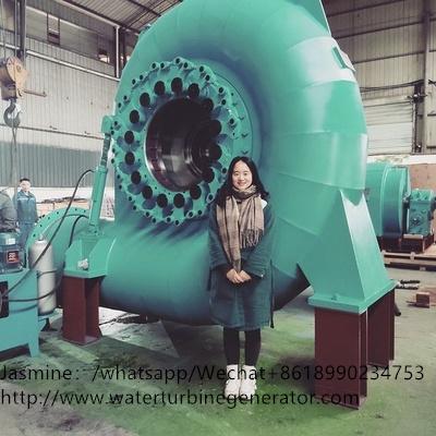 China Customized Water Turbine Generator with 85% - 95% Efficiency and 200kw-20mw Power Output Featuring Automatic Voltage Regulator (AVR) for sale