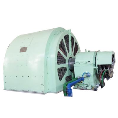 China Production Period 6 Months Pelton Wheel Turbine Generator Hydropower Equipment Designed for Renewable Energy Production for sale