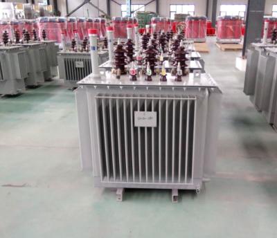 China Customized Oil Immersed Type Power Transformer For Hydor Power Plant for sale