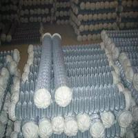 China 75mm chain link mesh fencing, hot dipped chain link mesh fencing for sale