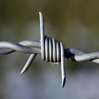 China high quality barbed wire price per roll / galvanized barbed wire mesh stainless steel barb wire fence roll for sale