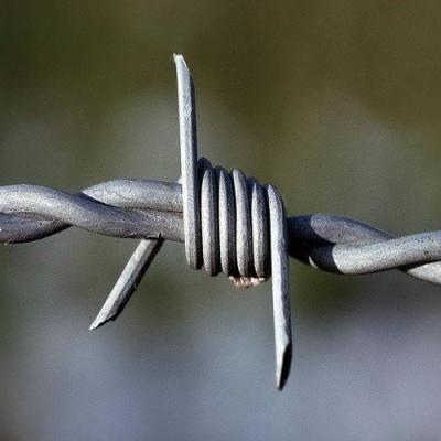 China high quality barbed wire price per roll / galvanized barbed wire mesh stainless steel barb wire fence roll for sale