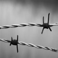 China 16G galvanized wire barbed fencing 100m, 250m 500m 1.6mm barbed wire fence price per roll for sale