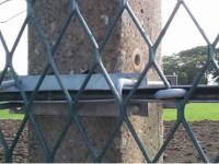 China 4ft x 8ft Sheets Expanded Galvanized Steel Metal Wire Mesh Stainless Steel Diamond Expanded Metal Mesh for sale