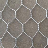 China Length 10-200m Hexagonal Wire Mesh PVC Coated Chicken Fence  compressed knitted wire mesh for sale