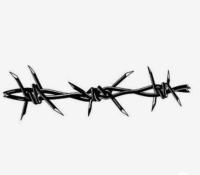 China China manufacture wholesale barb wire in sri lanka hot dipped galvanized barbed wire roll price fence for sale