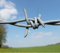 China 16G galvanized wire barbed fencing 100m, 250m 500m 1.6mm barbed wire fence price per roll for sale