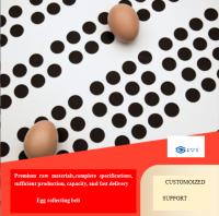 China Customized white PP picking  eggs conveyor belt,  pp egg collection belt, perforated  conveyor belt for sale