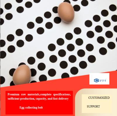 China Customized white PP picking  eggs conveyor belt,  pp egg collection belt, perforated  conveyor belt for sale