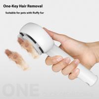 China Battery Powered Pet Grooming Brush with UV Light Steam Spray for Dogs Cats ABS Plastic 1-3h Charging for sale