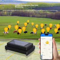 China Real Time GPS Pet Tracker IP67 Waterproof Solar Powered 4G 2G for Livestock Cattle Sheep with Remove Alarm Collar for sale