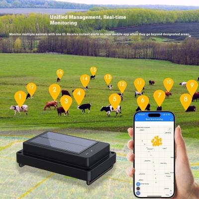 China Real Time GPS Pet Tracker IP67 Waterproof Solar Powered 4G 2G for Livestock Cattle Sheep with Remove Alarm Collar for sale