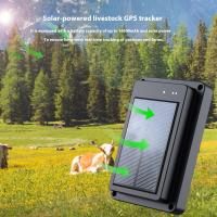 China Real Time GPS Pet Tracker IP67 Waterproof Solar Powered 4G 2G for Livestock Cattle Sheep with Remove Alarm Collar for sale