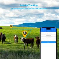 China Real Time GPS Pet Tracker IP67 Waterproof Solar Powered 4G 2G for Livestock Cattle Sheep with Remove Alarm Collar for sale