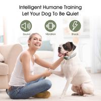 China Automatic AI Intelligent Recognition Dog Training Collar IPX7 Waterproof Rechargeable Battery >20 Hours Bark Control Barking for sale