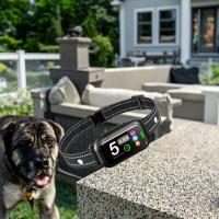 China Smart Anti-Bark Dog Collar IP67 Waterproof Rechargeable Training Collar for Dogs 20H Battery Life for sale