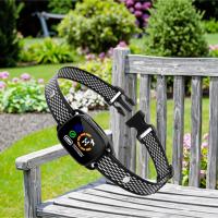 China Rechargeable Anti Bark Dog Training Collar Smart AI Chip Waterproof IP67 20H Battery for Small Medium Dogs for sale