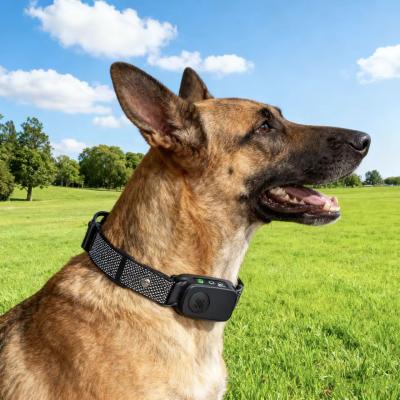 China Rechargeable Dog Training Collar IP67 Waterproof Anti Barking Vibration with 20h Battery for sale
