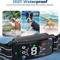 China Rechargeable IP67 Waterproof Dog Bark Collar with 8 Sensitivity Levels 4 Training Modes 20+ Hour Battery for sale