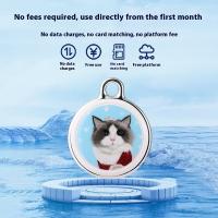 China Pet GPS Tracker Collar for Dogs Cats 4G Waterproof IP67 Anti-Loss Locator Bluetooth Android iOS for sale