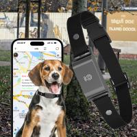 China 4G GPS Pet Tracker Smart Collar for Dogs Cats IPX6 Waterproof 20h Battery Voice Calls for sale