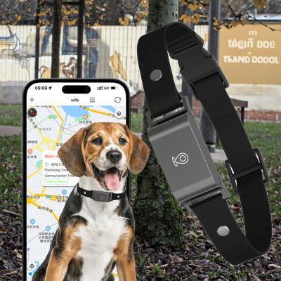 China 4G GPS Pet Tracker Smart Collar for Dogs Cats IPX6 Waterproof 20h Battery Voice Calls for sale