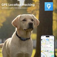 China 4G GPS Pet Tracker Smart Collar for Dogs Cats IPX6 Waterproof 20h Battery Voice Calls for sale