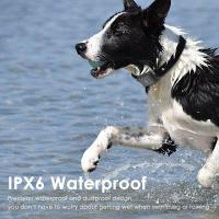 China 4G GPS Pet Tracker Smart Collar for Dogs Cats IPX6 Waterproof 20h Battery Voice Calls for sale