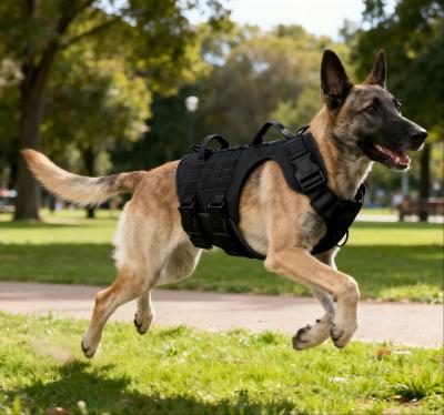 China Large Dogs Tactical Dog Harness 100% Nylon Adjustable Quick Release Breathable Heavy Duty for sale