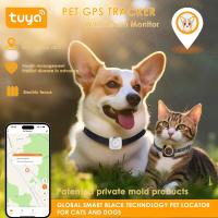 China Mini 4G GPS Pet Tracker IP67 Waterproof Real-Time Tracking Anti-Lost for Cats Dogs 20h Battery for sale