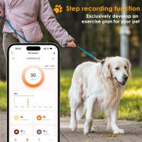 China Mini 4G GPS Pet Tracker IP67 Waterproof Real-Time Tracking Anti-Lost for Cats Dogs 20h Battery for sale