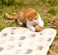 China Waterproof Cotton Smart Pet Heating Blanket 40W Temperature Control Removable Washable Round for Chickens for sale