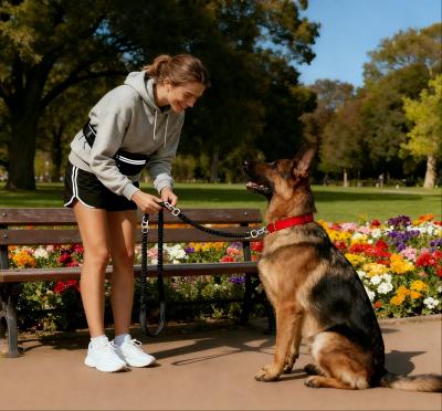 China Smart Dog Leash Multi-Function Adjustable Length 100% Nylon Reflective Letter Pattern for sale