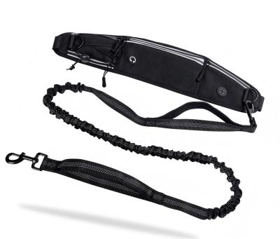 China Durable 100% Nylon Reflective Dog Leash and Collar Set Adjustable for Small to Large Pets for sale