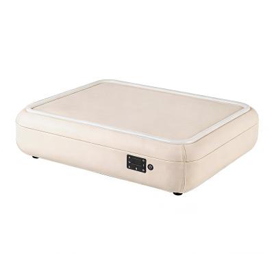 China Smart Wool Pet Mat with LED Lights Music Player Temperature Control Washable Cushion for Cats 60x40cm for sale