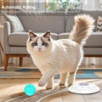 China Interactive 3-in-1 Cat Dog Toy Rechargeable Automatic Rolling Ball Eco-Friendly Plastic with Feather Wand for sale