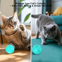 China Interactive 3-in-1 Cat Dog Toy Rechargeable Automatic Rolling Ball Eco-Friendly Plastic with Feather Wand for sale