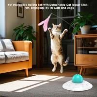 China Interactive 3-in-1 Cat Dog Toy Rechargeable Automatic Rolling Ball Eco-Friendly Plastic with Feather Wand for sale