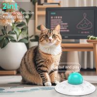 China Interactive 3-in-1 Cat Dog Toy Rechargeable Automatic Rolling Ball Eco-Friendly Plastic with Feather Wand for sale