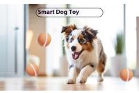 China 2025 Rechargeable Eco-Friendly Silicone LED Flash Light Cute Automatic Rolling Ball Motion Activated Interactive Movement Toy for sale