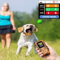 China Handheld Multi-Functional GPS Wireless Electronic Fence Training Device for Dogs Eco-Friendly Waterproof Rechargeable Precise for sale
