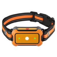 China Handheld Multi-Functional GPS Wireless Electronic Fence Training Device for Dogs Eco-Friendly Waterproof Rechargeable Precise for sale