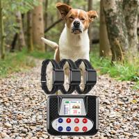 China Smart Rechargeable Wireless Dog Training Collar IP67 Waterproof Shock Bark Stop for Outdoor Pets for sale