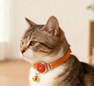 China Rechargeable GPS Wireless Dog Training Collar with Electronic Fence 216g LCD Display for sale